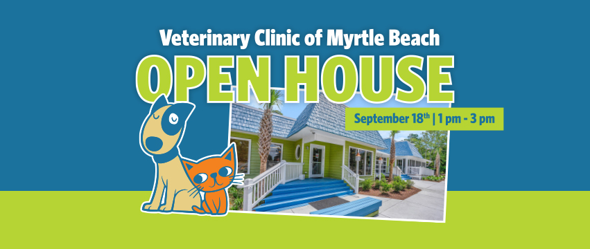 Home | Veterinary Clinic of Myrtle Beach
